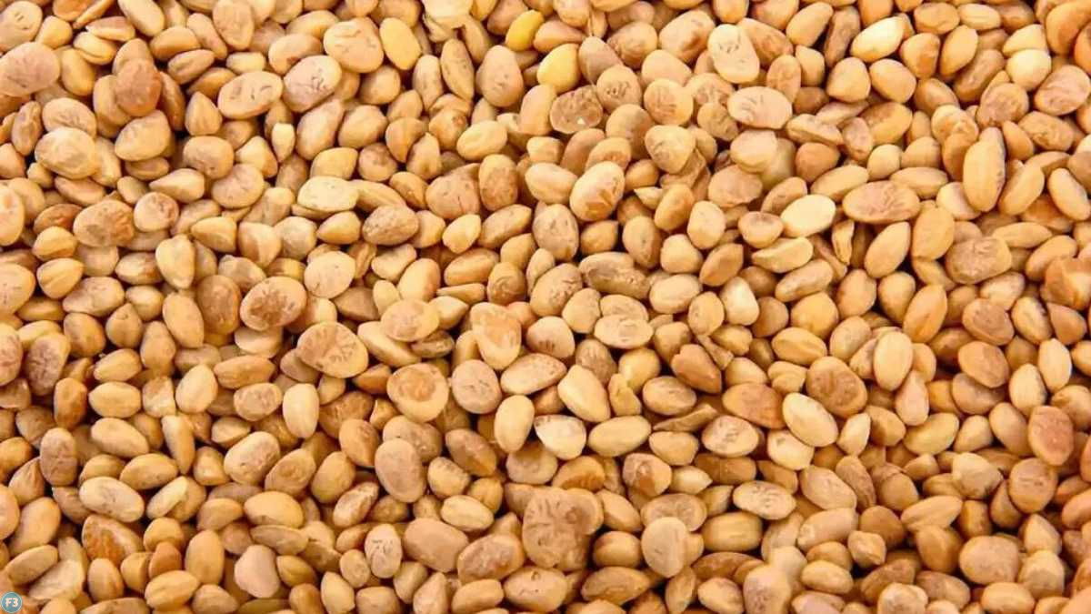 Chironji Benefits चिरौंजी खाने के ये फायदे आपको चोंका देंगे